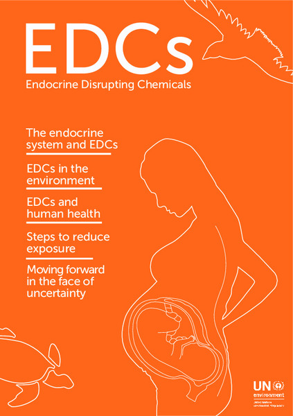 Edcs Endocrine Disrupting Chemicals